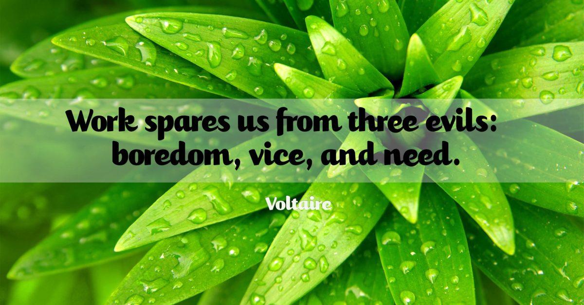 344-Voltaire-2560×1600 | LoriLynn Smith