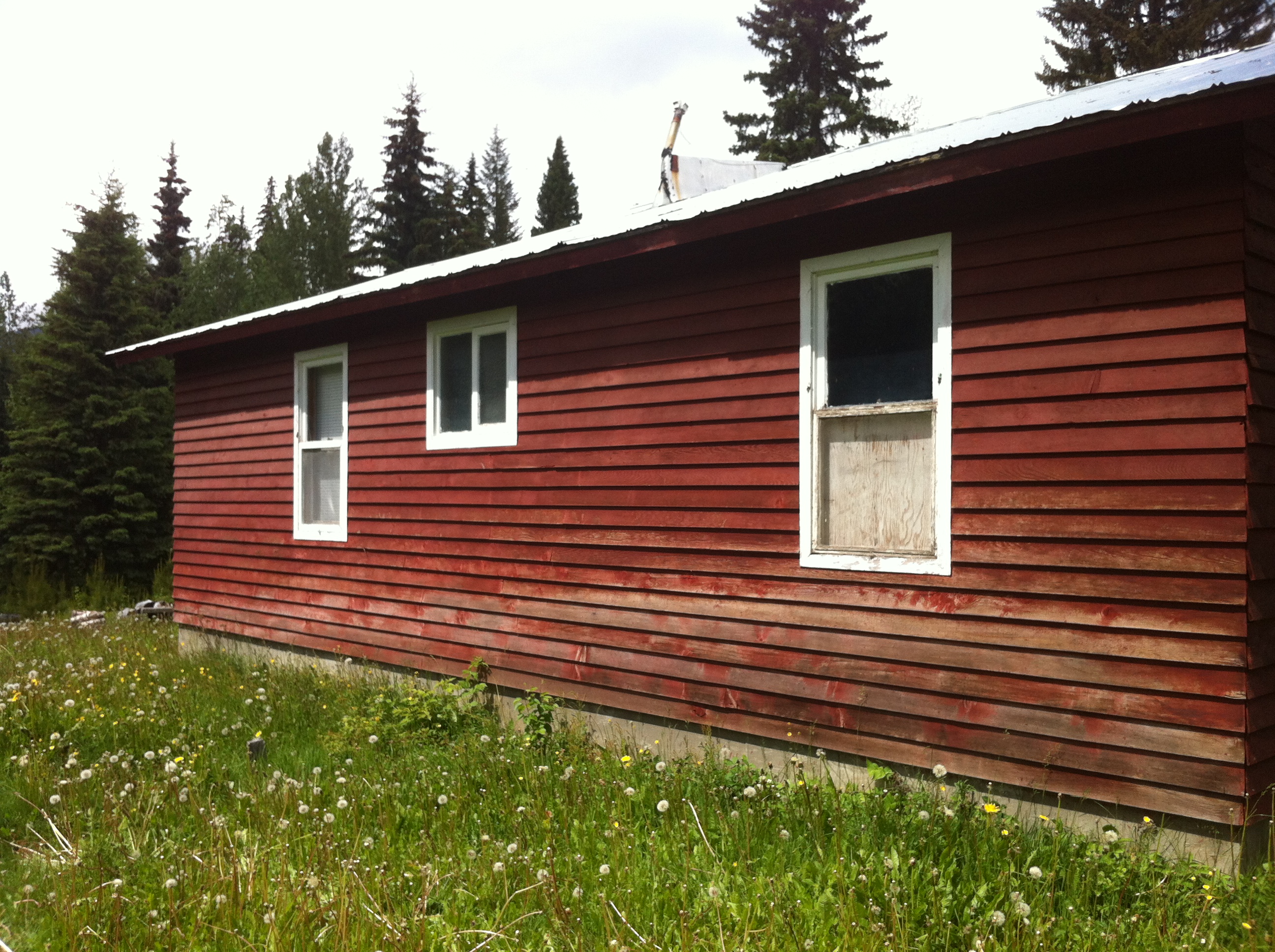 IMG_2412 | LoriLynn Smith